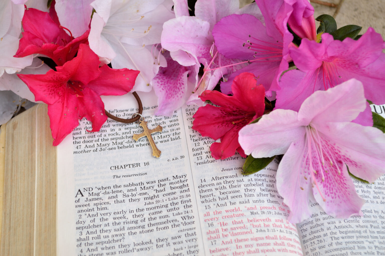 What Does It Mean To Seek Jesus? - Seek Jesus 4 Life